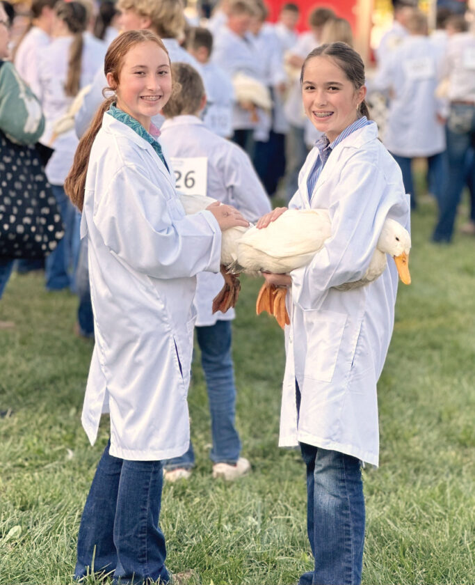 The Science of the Lambs: Fort Frye’s Alexis White balances school ...